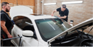 Automotive Paint & Panel Supplies | Clear Coat Vehicle Products ...